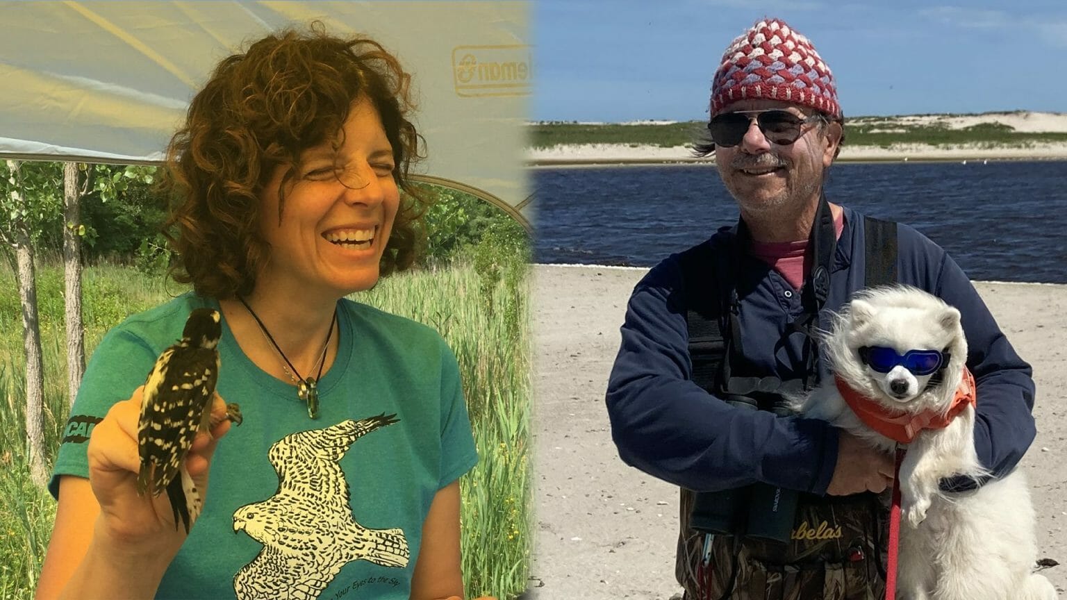 Professors Veit and Manne Receive Two NSF Grants for Ornithology ...